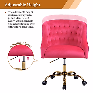 Velvet Home Office Chair with Gold Base, Comfortable Modern Cute Desk Chair, Adjustable Swivel Task Chair for Living Room Bedroom Vanity Study, Fushia