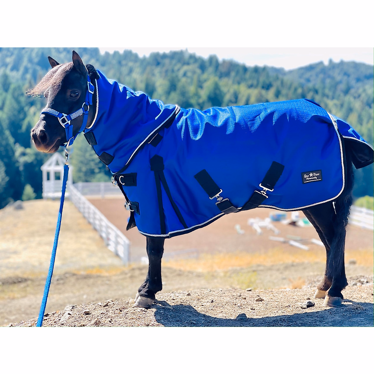 Star Point Horsemanship Mini-Pony Horse Ripstop Waterproof Windproof Blanket Hooded Lightweight Turnout Rain Sheet Breathable Lining 1200 Denier Material 220 Fill (46-48", Teal)