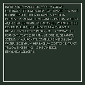 AMOREPACIFIC Treatment Enzyme Peel Cleansing Powder | Korean Gentle Daily Exfoliator with Hyaluronic Acid and Green Tea Enzymes, 1.9 oz.