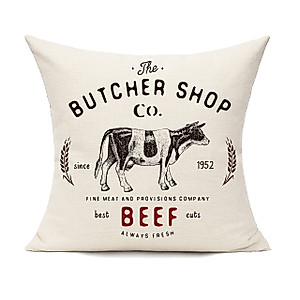 All Smiles Green Plants Summer Outdoor Throw Pillow Covers for Patio Furniture 20x20 Set of 4 Garden Porch Spring Decorative Cushion Cases Succulent Home Decor