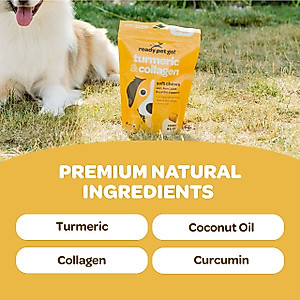 Turmeric for Dogs Soft Chews | Hip and Joint Chews for Dogs Comfort & Mobility with Collagen for Dogs | Dog Joint Supplement for All Ages Breeds & Sizes | NASC Certified & Made in The USA | 90 Chews