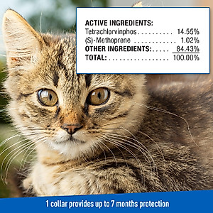 Adams Plus Flea & Tick Collar for Cats | Breakaway Collar | 1 White Collar | 7- Month Protection | Kills & Repels Fleas, Flea Eggs, Flea Larvae and Kills Ticks, Tick Nymphs, and Tick Larvae