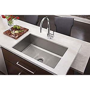 Moen G16100 Sink, Stainless