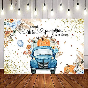 Avezano Blue Pumpkin Baby Shower Backdrop for Boy Boho Fall Baby Shower Decorations Little Pumpkin Truck Banner Thanksgiving Autumn Newborn Baby Shower Party Background(7x5ft)