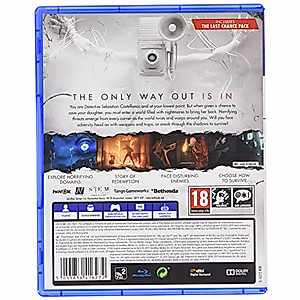 Bethesda The Evil Within 2 (PS4)