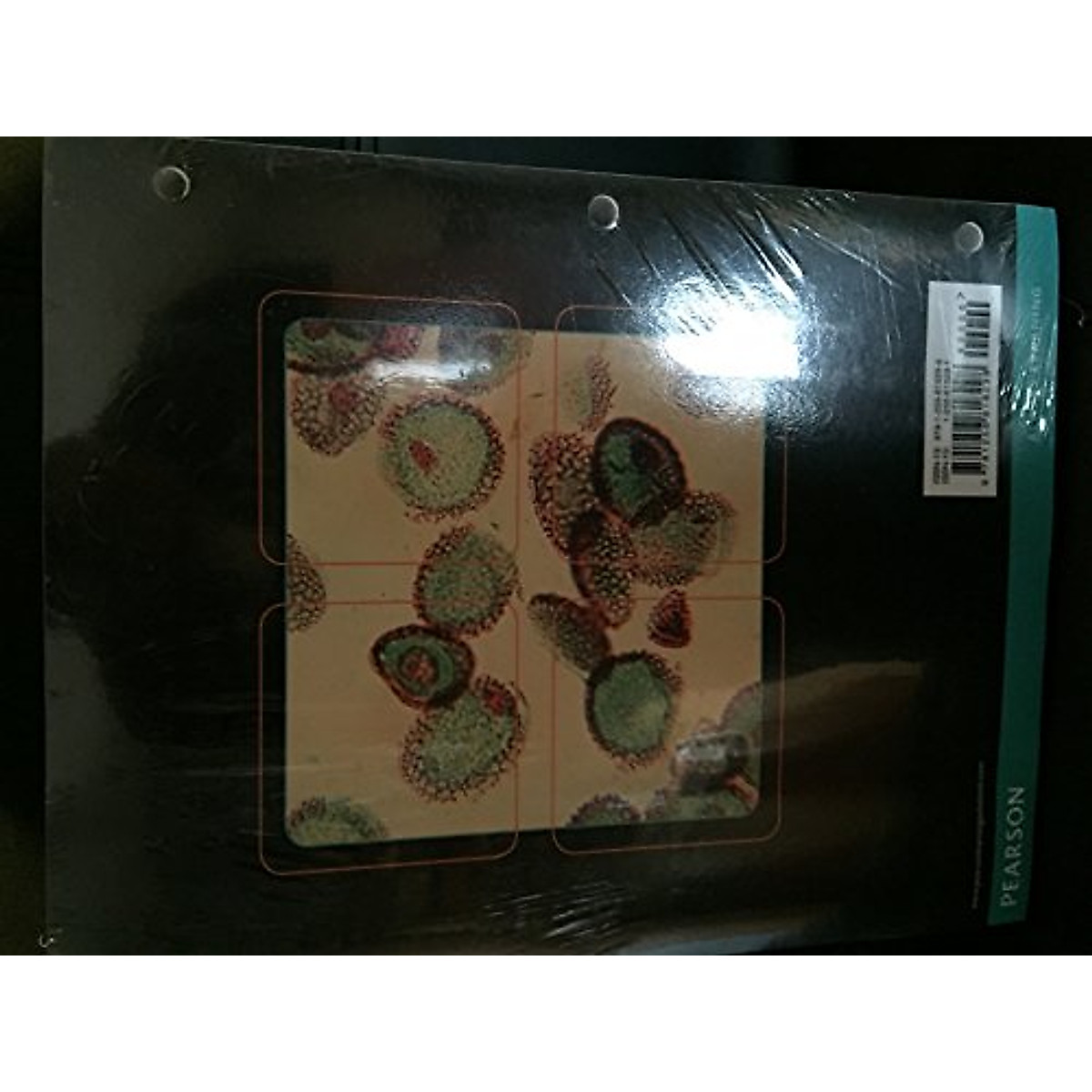 General, Organic, and Biological Chemistry: Structures of Life with Study Guide