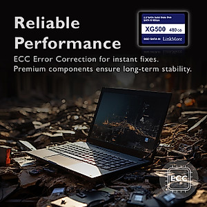 LinkMore XG500 480GB 2.5" SATA III (6Gb/s) Internal SSD, Solid State Drive, Read Speed Up to 500MB/s, 2.5 inch for Laptop and PC Desktop