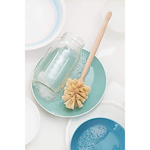 Fox Run Kitchen Brush, Natural Horsehair Fiber Bottle and Tumbler Brush, 12.5"