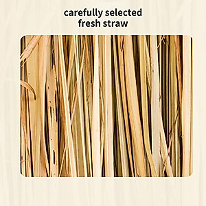 Yu’s north Bird Breeding Nest Bed for Parakeet Cockatiel Canary Lovebird and Small Parrot Cage Hatching Nesting Box (Straw)