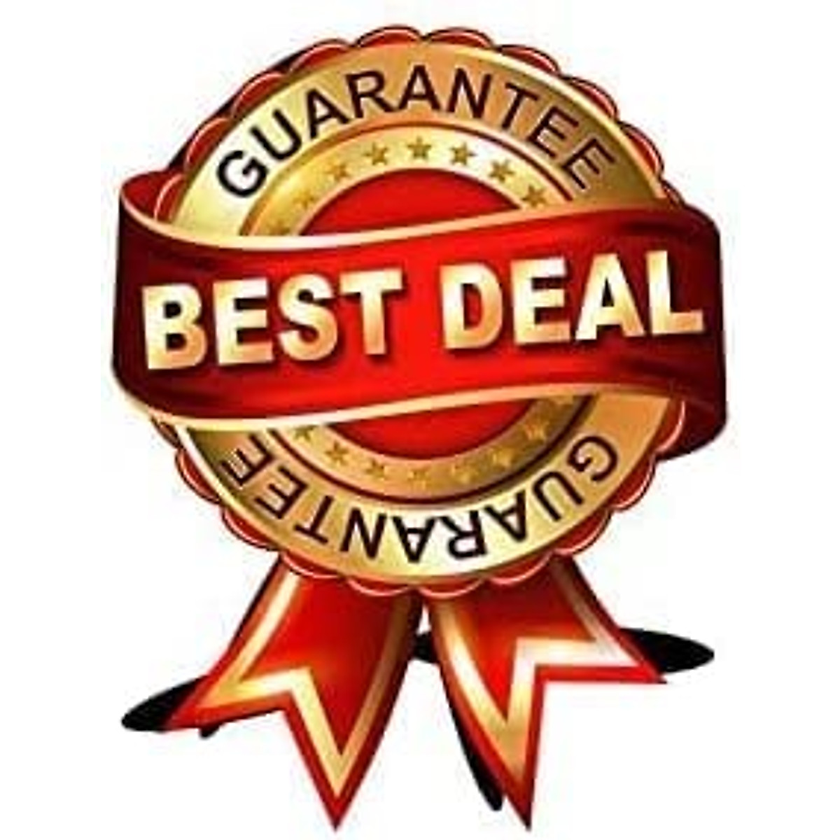 Ram Ratan Kendra Shaligram Shila | Nepal Gandaki River Saligram Stone | 1.5 Inch (Shaligram Shila 100-150 gm).by DHAMA Export