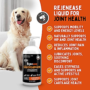 Liquid Glucosamine for Dogs with Chondroitin MSM - Rejenease Hip and Joint Supplement Supports Mobility, Arthritis & Pain Relief (32 oz)