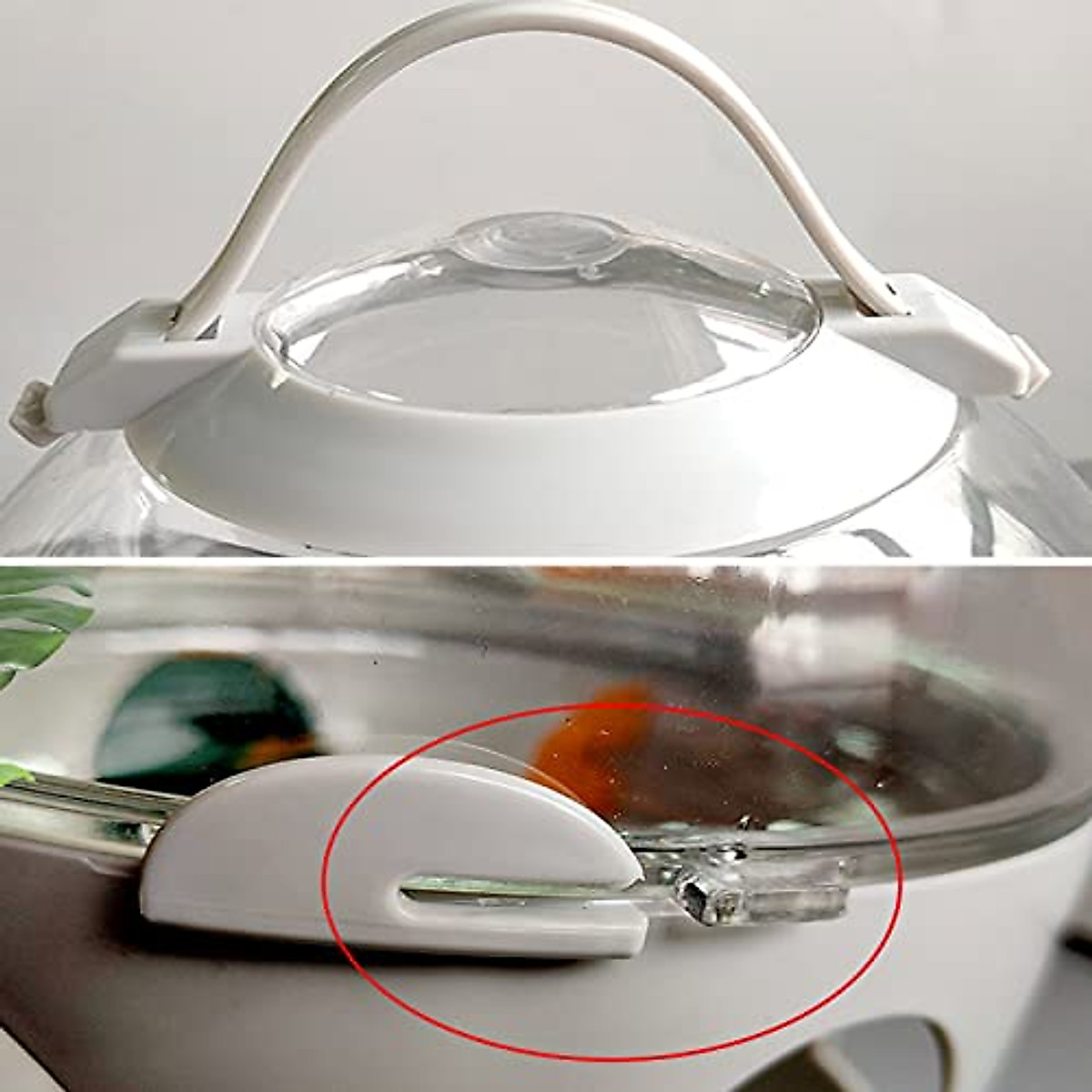 Bird Feeding Pigeons Feeder Water 2L Plastic Pet Drinker Dispenser Pot Container Birds - Automatic Feeders Water Dispenser