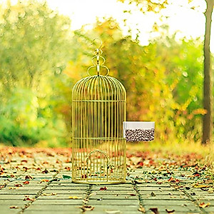 2pcs Bird Cage Feeding Container Bird Food Trough Bird Feeder Thick Semicircle Bird Food Box Bird Cage Accessories for Birds(Transparent)