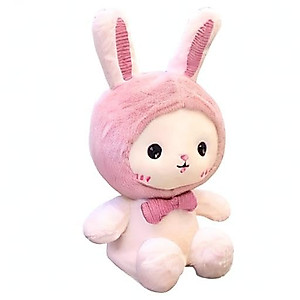 DERMAEX Pink Bunny Plush Stuffed Animal Pillow,Soft Hugging Pillow Bunny Plush Toys,Cute Rabbit Doll Throw Pillow with Wings,Gifts for Birthday, Valentine, Christmas (Pink,25cm)