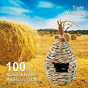 Gute Hummingbird House for Outside, Grass Hanging Wren Finch Song Birds House for Nesting, Hand Woven Hummingbird Nest for Outdoor Tree Decorations Gardening Gift, 2 Pack