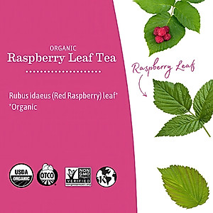 Earth Mama Organic Raspberry Leaf Tea Bags |Labor Tonic + Menstrual Support, 16 Teabags Per Box (3-Pack)