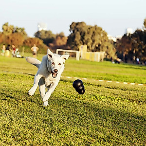 Kong Stuff'N Dog Toy Fill Tubes 2 Flavor Variety - (1) Each: Real Peanut Butter, Sweet Potato Spread (5 Ounces) - Plus Fun Animal Facts Booklet Bundle