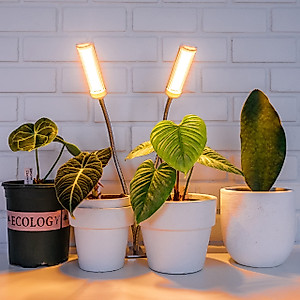 Brite Labs LED Grow Lights for Indoor Plants & Seedlings, Dual Head Plant Growing Lamps with 100 Full Spectrum Bulbs, Auto On Off Timer, Adjustable Gooseneck Arms, Desk Clip On, Dimmable Switch Modes