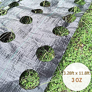 WDDH Garden Weed Barrier Landscape Fabric with 3'' Planting Holes, 3.3 Ft X 11.8 Ft Heavy-Duty Weed Block Gardening Mat Soil Erosion Control and UV Stabilized