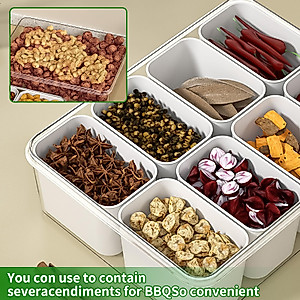 DIY Food Storage Containers, Organizer Boxes with Lids for Vegetables, Fruits, Herbs, Spices, Nuts, Seeds