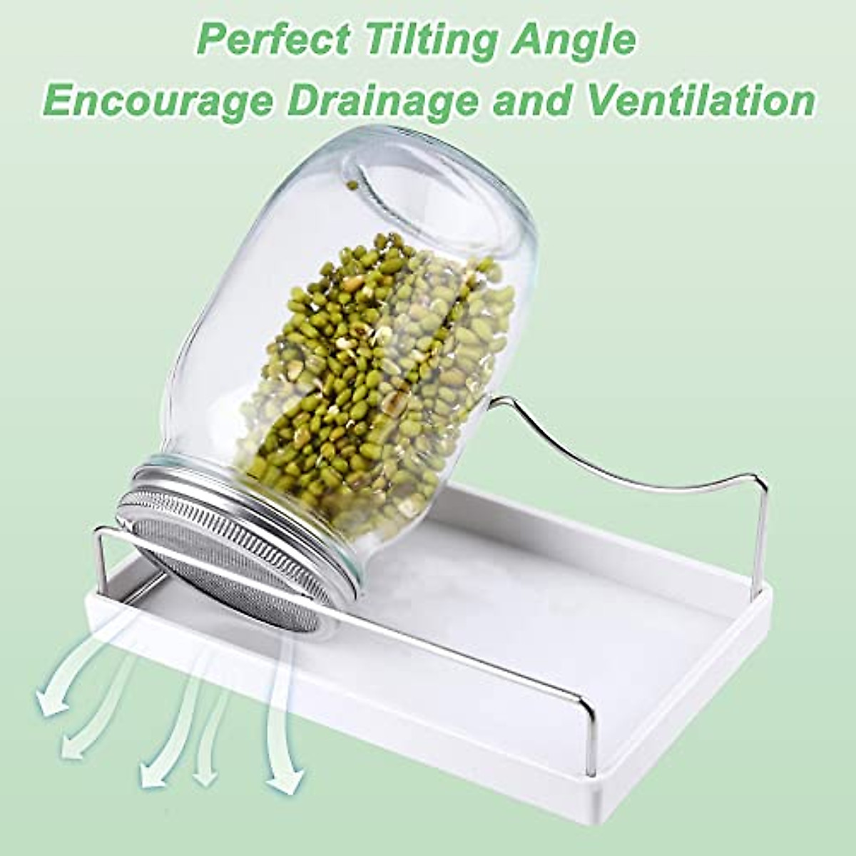 Sprouting Kit-2 Wide Mouth Quart Mason Jars with 304 Stainless Steel Screen Sprout Lids,Melamine Tray,Stand and Canning Brush,Sprouting jar Kit For Growing Mung beans,Broccoli And So On