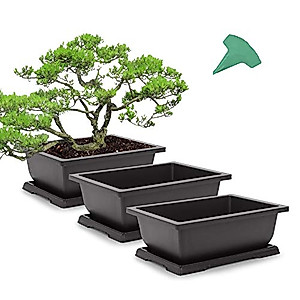 GROWNEER 3 Packs 11 Inches Bonsai Training Pots with 15 Pcs Plant Labels, Plastic Bonsai Plants Growing Pot for Garden, Yard, Office, Living Room, Balcony and More