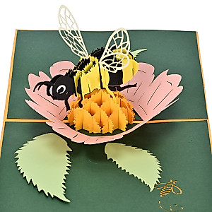 sunohyesla Pop Up Honey Bee Card,Honey Bee 3D Greeting Cards,For Mothers Day, Spring, Thinking of You, Thank You, Sympathy, Wedding, Anniversary, Just Because, All Occasion