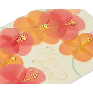 Papyrus Birthday Card (How Special You Are)