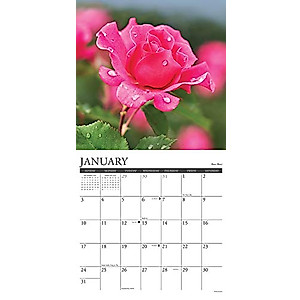Flowers 2021 Wall Calendar