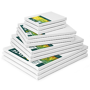 12 Pack Stretched Canvases for Painting with 11x14, 9 x12, 8x10, 5x7(3 of Each), Blank Primed Canvas for Oil, Acrylic & Others, Multi Size Set for Artist, Student and Beginners