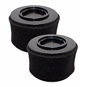 2 Pack Replacement Filters Compatible with Bissell PowerEdge Hard Floor Stick Vacuum 81L2 81L22 81L28 81L2T Bissell PowerEdge Pet Hardfloor Vacuum 81L2A Bissell Hard Floor Expert Stick Vac 81L2W
