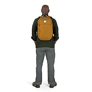 Osprey Arcane Large Day Everyday Backpack, Brindle Brown Heather, One Size