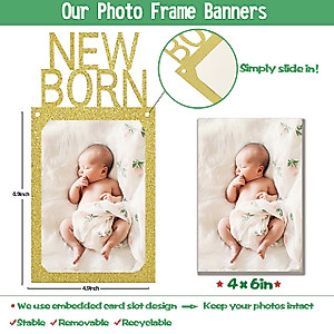 Wild One Birthday Decorations For Boys Jungle Theme Baby Shower Safari 1st Party Supplies Palm Leaf Balloon Garland Kit