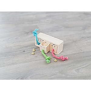 TRIXIE 62815 Small Animal Snack Cube Activity Toy, Natural