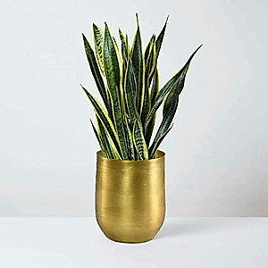 Serene Spaces Living Raw Brass Vase, Brass Decorative Accents Use as Brass Planter for Plant, Gold Flower Vase for Wedding or Event Centerpiece, Metallic Pot for Home, Measures 6" Tall & 5.5" Diameter