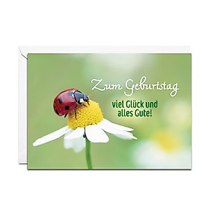 Burg Street Creations German Birthday Card - Zum Geburtstag Viel Glück und Alles Gute (Ladybug on a Daisy)