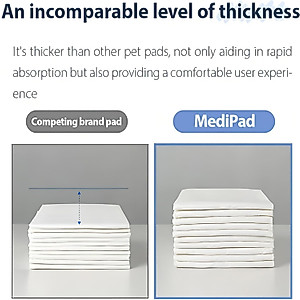 Ruord ScratchMe Super-Absorbent Waterproof Dog and Puppy Pet Training Pad, Housebreaking Pet Pad, 25-Count Large-Size,