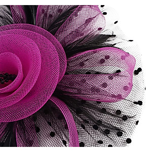 Fascinators for Women Tea Party Headband Kentucky Derby Wedding Cocktail Flower Mesh Feathers Hair Clip (Rose &Black)