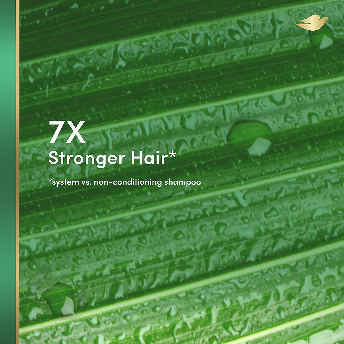 Dove RE+AL Bio-Mimetic Care Shampoo For Damaged Hair Repair Coconut + Vegan Keratin Sulfate-Free Coconut Shampoo 10oz