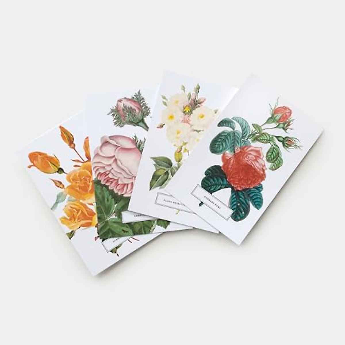 Roses: 100 Postcards from the Archives of The New York Botanical Garden