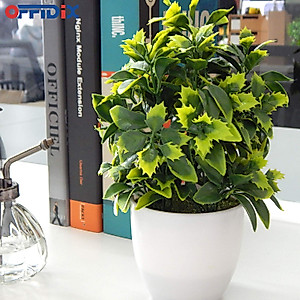 OFFIDIX Artificial Plastic Mini Plants in White Pot,Desk Plant Artificial Flowers with Vase,Small Faux Plastic Plants for Home Kitchen Garden Office Indoor Decor