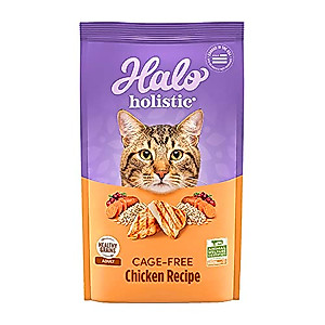Halo Holistic Cat Food Dry, Cage-free Chicken Recipe, Complete Digestive Health, Dry Cat Food Bag, Adult Formula, 6-lb Bag