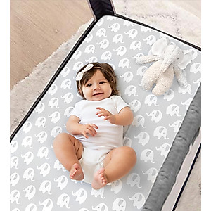 100% Organic Cotton Fitted Sheets for Graco Pack n Play, Babyletto, Pamo Babe, Hiccapop, Dream on Me, Evenflo, Baby Trend, Hygge Hush Portable/Mini Crib/Playards, Beka Bedside Bassinet 2 Pk