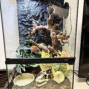 BNOSDM Reptile Grapevine Wood Decoration Resin Climb Tree Branch Decor Grape Wood Branches for Leopard Gecko Lizard Frog Snake Climbing