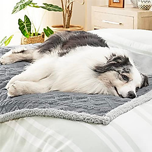 Bedsure Waterproof Dog Blankets for Large Dogs - Pet Blanket for Couch Protector Washable, Premium Jacquard Coral Fleece Cat Throw Blanket, Soft Plush Reversible Furniture Protection, 50"x60", Grey