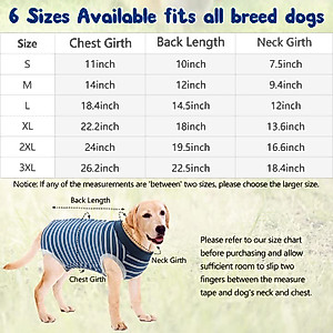 Rypet 2 Packs Dog Recovery Suit Abdominal Wound Surgical Clothes for Male Female Pet Surgical Snugly Suit After Surgery Anti-Licking Dog Onesies