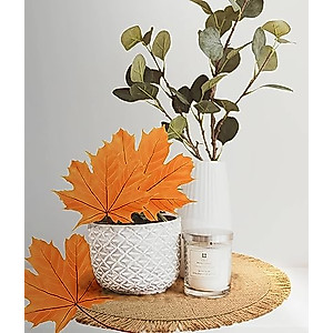 ANQLRMD Burlap Round Placemats Set of 6 Fall Table Decor, Boho Natural Jute with Fringe Table Mats for Dining Table, Rustic Farmhouse Table Circle Placemats Dia 15", Indoor& Outdoor Eco-Friendly