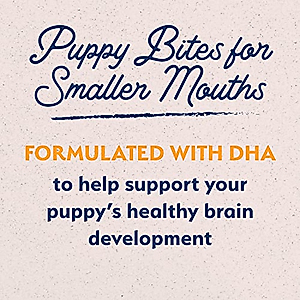 Natural Balance Limited Ingredient Puppy Grain-Free Dry Dog Food, Reserve Duck & Potato Recipe, 12 Pound (Pack of 1)