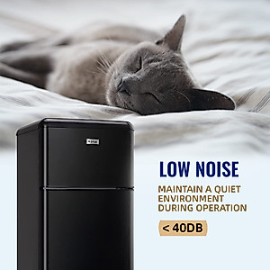 WANAI Mini Fridge Dual Door Refrigerator with Freezer, Compact Refrigerator with Adjustable Temperature & Removable Glass Shelves, Fridge for Apartment/Dorm/Office/Kitchen, Energy Saving, BLACK