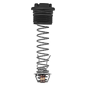 SHIJIAJIA 77707-0010 Thermal Regulator Kit Replace for Pentair MasterTemp Pool and Spa Heaters Compatible with Pentair Master Temp Parts and Sta Rite Low Nox Parts